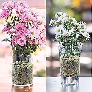 YISZM 2 LB Succulent and Cactus Jade Pebbles, 3/8 Inch Natural Decorative Polished Stones, River Rocks for for Indoor Plants, Vases, Planters and Outdoor Gardening