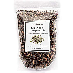 Superfood Microgreen Seeds Mix | for Microgreens Growing Trays | 1 LB | Heirloom Non GMO Purple Kohlrabi, Collard, Radish, Turnip & Broccoli Sprouts Seeds | Rainbow Heirloom Seed Co.