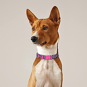 Tribal Dog Collar with Buckle Pattern Aztec Geometric Nylon Pet Collars Small Medium Large Puppy Adjustable Soft Ethnic Boy Girl (Aztec, Neck Fit 10"-13")
