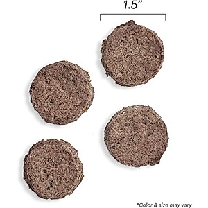 Aurora Pet Bundle Pack (3) The Honest Kitchen Superfood Cod Crisps Cod & Blueberry Dog Treats with AuroraPet Wipes