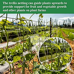 Sukh 2 Pcs Garden Plant Trellis Netting - 5 x 15 ft Trellis Net Polyester Trellis Netting Garden Square Mesh Netting for Climbing Plants Outdoor, Fruits, Vegetables, Vines, Grow Tents