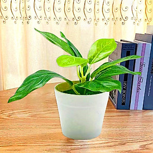 Angel3292 Artificial Potted Plant Realistic Plastic Eye-Catching Imitative Bonsai Plants for Home Potted Plant Delicate for Garden