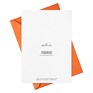 Hallmark Peanuts Thanksgiving Cards Assortment, Snoopy and Friends (16 Assorted Cards with Envelopes)