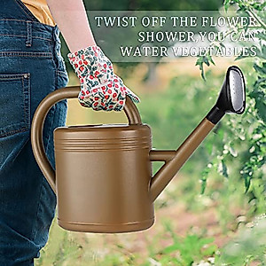 1 Gallon Watering Can for Indoor Plants, Garden Watering Cans Outdoor Plant House Flower, Gallon Watering Can Large Long Spout with Sprinkler Head