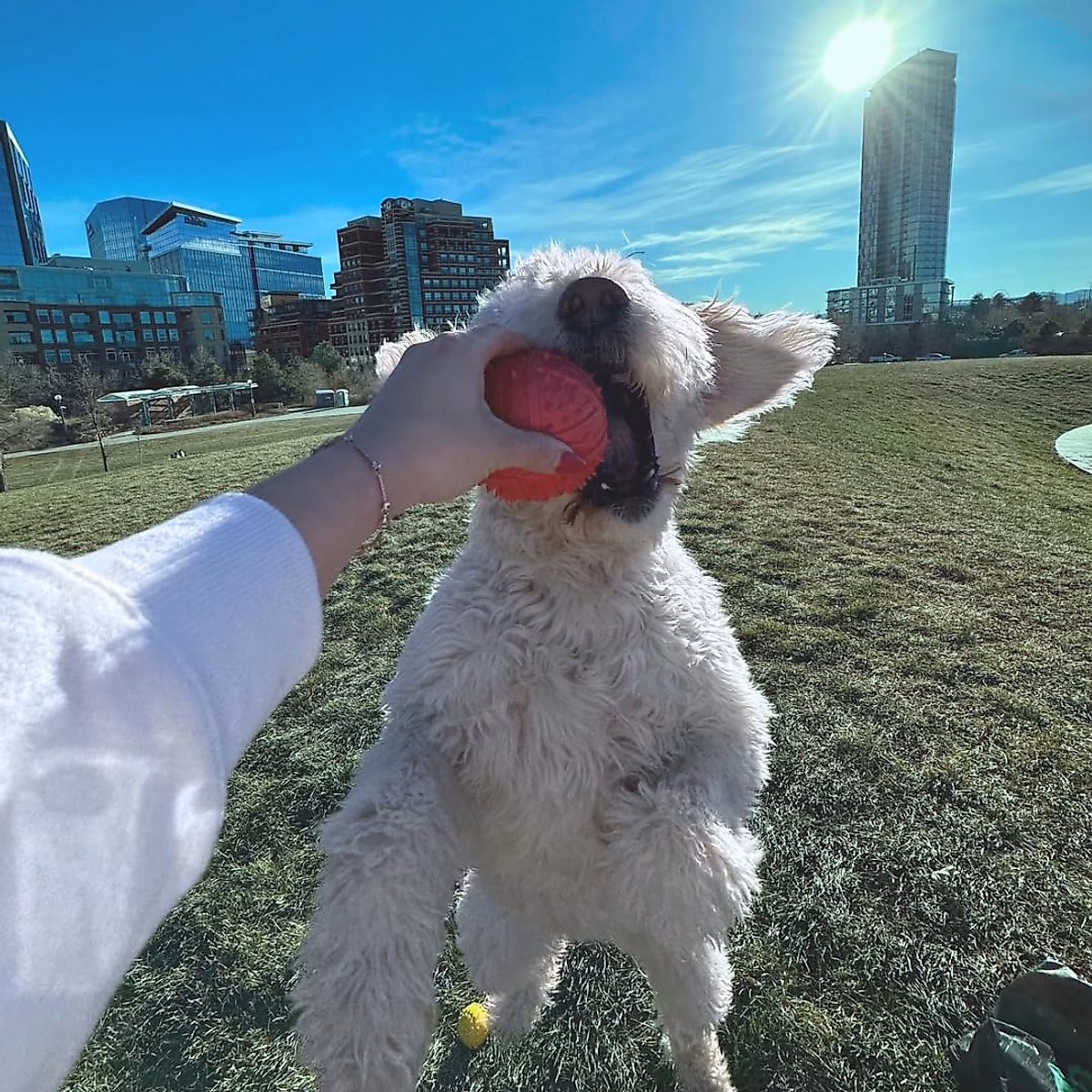 CeylonManel Happy Patitas Playful Trio - Medium Dog Toy Balls