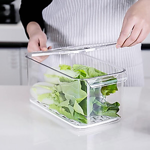 SANNO Vegetable Fruit Containers Fridge Food Storage Produce Saver Container Produce Saver Containers for Refrigerator, Containers Produce Saver