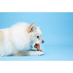 Hartz Chew ‘n Clean Chew Toy and Treat in One Chicken Flavored Drumstick Dog Toy, Small