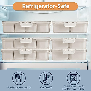 Snackle Box Container, Divided Serving Tray with Lid and Handle, Snack Box Charcuterie Container for Portable Snack Platters, Clear Organizer for Fruits Snacks, Perfect for Road Travel Picnic Party