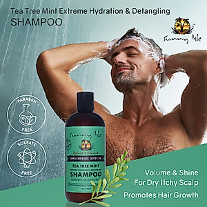 Sunny Isle Jamaican Black Castor Oil Tea Tree Mint Shampoo 12oz | Extreme Hydration & Detangling | Hair Growth & Itchy Scalp