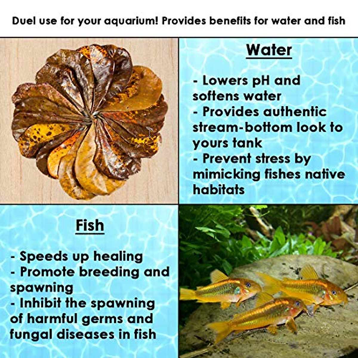 SunGrow Saver Bundle Pack - Catappa Leaves 10Pcs/Pack + Large Leaf Hammock