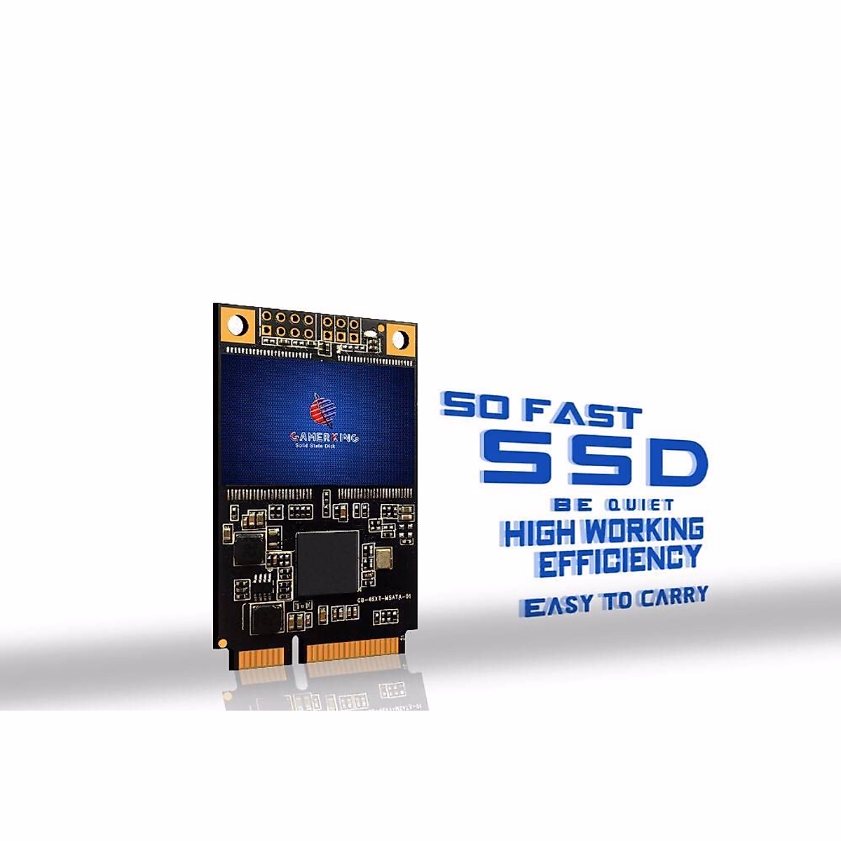 GAMERKING SSD msata 64GB Internal Solid State Drive High Performance Hard Drive for Desktop Laptop SATA3 6Gb/s Mini PC (64GB, MSATA)