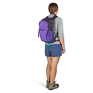 Osprey Daylite Plus Commuter Backpack, Dream Purple
