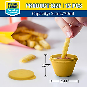 Teivio 12 Pack Reusable Wheat Straw Salad Dressing Containers To Go, 2oz Small Plastic Condiment Container with Lid, Snack Container Dipping Sauce Cups for Lunch Box Picnic Travel, Autumn Multicolo