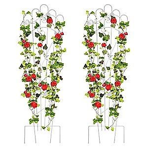 XYADX Metal Detachable Trapezoidal Garden Trellis for Climbing Plants, 60 Inches Sturdy Patio Plant Support for Indoor Plants Trellis for Rose, Vegetable Flower, Backyard Pack of 2 - White
