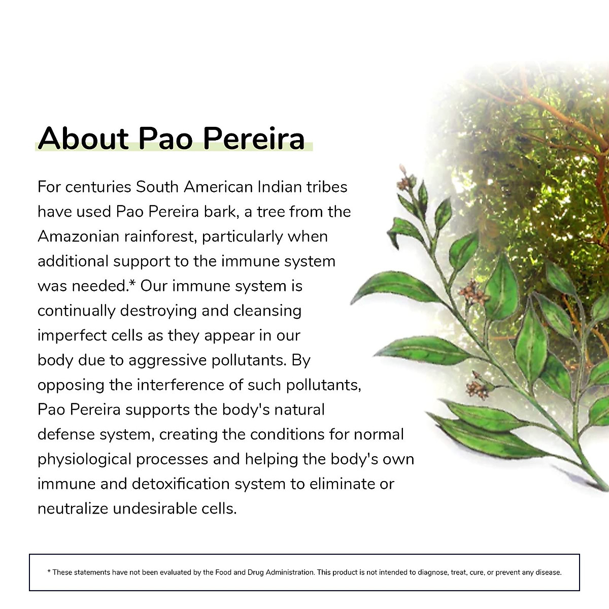 Beljanski® Product - PaoVet® - Pao Pereira Immune Support Pet Supplement - 100 Capsules