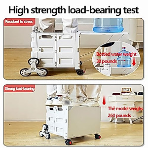 RINGGLO Collapsible Foldable Wagon Cart Outdoor Utility Wagon with Wheels, with Adjustable Push Pulling Handles,Big Wheels for Shopping, Picnic, Camping,Beige