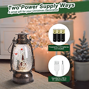 Christmas Snow Globe Musical Snow Globes Christmas Lantern Glitter Lantern Christmas Snowglobe Lighted Church Cardinal Scene 6H Timer 3AA Battery Operated Snowglobe USB for Home Decoration Gift