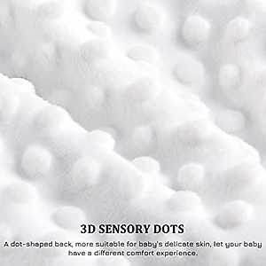 Minky Baby Blanket, Super Soft Toddler Blanket with Plush Dotted Backing, Double Layer Newborn Boy Girl Receiving Blanket for Nursery Bed Toddler Crib, Sage Green Dandelion Flower, 30 x 40 Inches