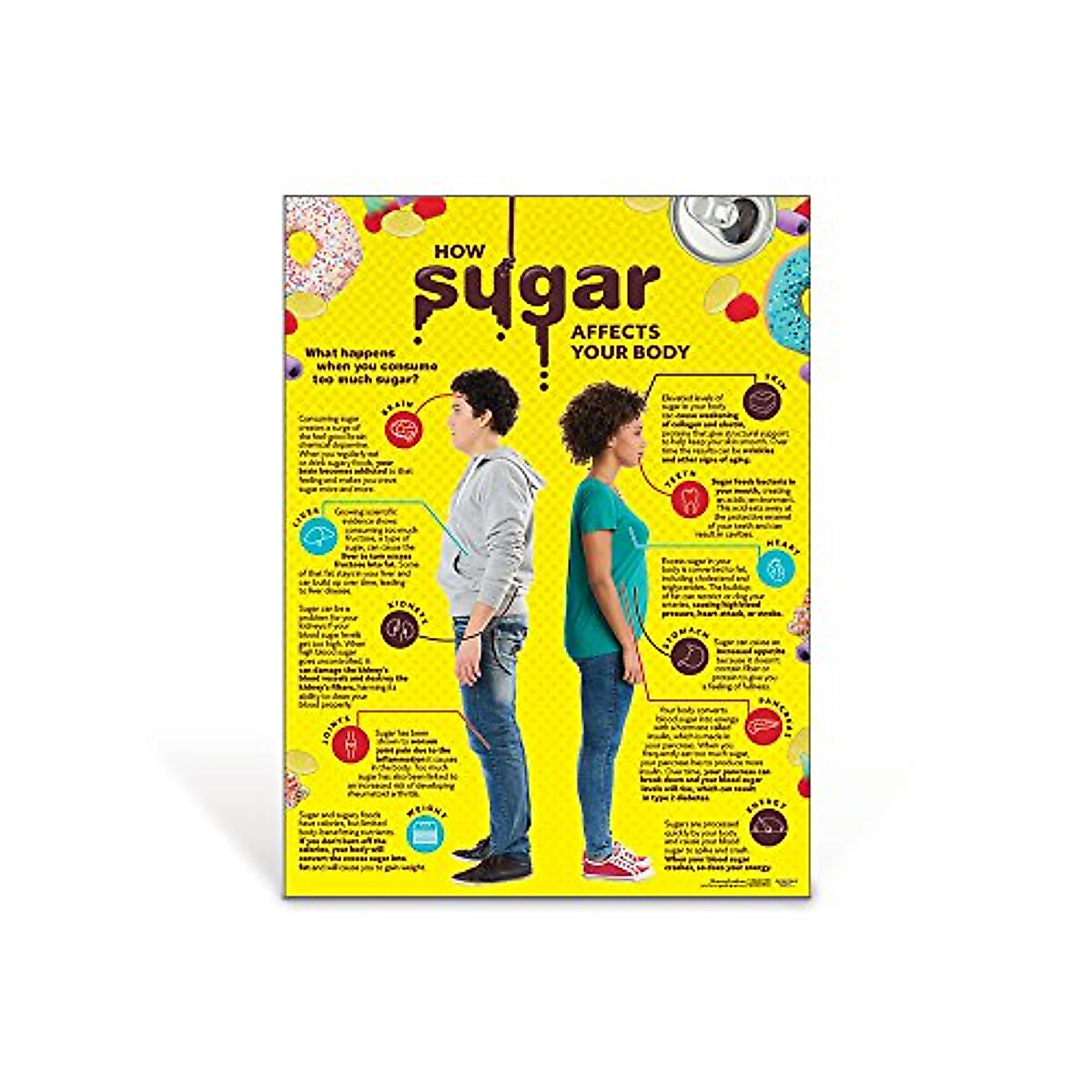 How Sugar Affects Your Body Poster | Sugar Nutrition Education Poster for Classrooms, Offices | 18” x 24” Laminated