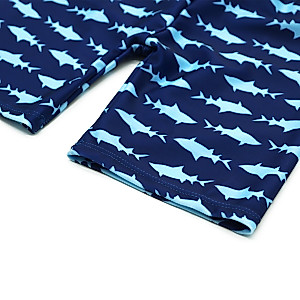 Boys Two Piece Rash Guard Swimsuits Kids Long Sleeve Sunsuit Swimwear Sets 9T