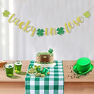 Lucky in Love Banner - St Patricks Day Decoration,st Patricks Day Banner,st Patricks Day Wedding Decor, St Patricks Day Bridal Shower,lucky in Love St Patricks Bachelorette Party Banner