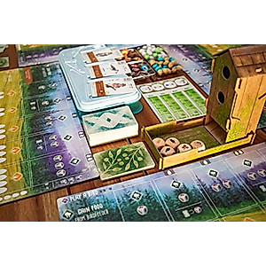 Stonemaier Games STM910 Wingspan with Swift Start Pack, Multi-colored