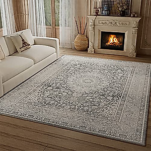 Traditional-Area-Rug-Carpet-8' x 10'，Distressed Oriental Rug-Vintage Paisley Floral Area Rugs-Machine Washable Rugs for Living Room Bedroom Dorm Dining Playroom, Grey