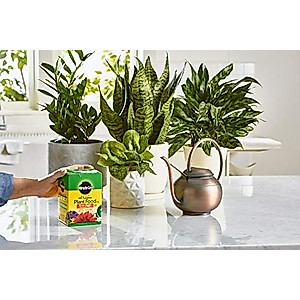 Miracle-Gro 2001123 All Purpose Plant Food Plant Fertilizer (6 Pack), 1.5 lb