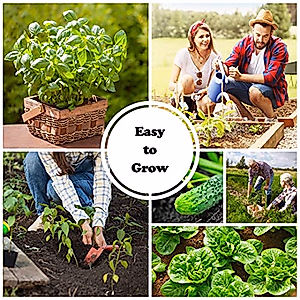 Instant Garden, Heirloom Vegetable Seed Collection, 15 Variety Non GMO Heirloom Garden Vegetable Herb Seeds - Tomato, Pepper, Lettuce, Carrot, Kale, Basil, & More