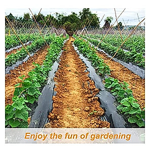 BBF IT Garden Trellis Netting - Heavy Duty Elastic Nylon Cord with Reach Through Mesh 5ft x 350ft (6''inch)