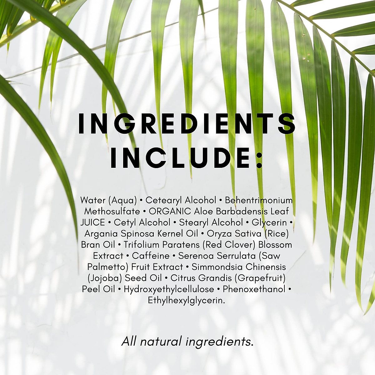 TruePure Argan Oil Conditioner (8 oz.) Deep Conditioner, Hair Treatment for Dry, Damaged Follicles, Split Ends | Sulfate, Paraben, Fragrance Free | For Men & Women | Made in USA