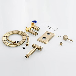 MINJING Bidet Tap Sprayer Wall Mounted Toilet Kit Single-Handle Dual Mode Spray Set Bidet Faucet Bathroom Bidet Shower Toilet Bidet Sprayer Gun Bathroom-Drawing Gold