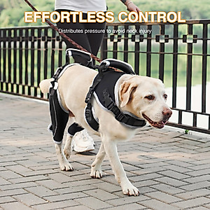 Dog ACL Knee Brace for Torn ACL Leg,ACL Brace for Dogs Rear Legs,Dog Back Leg Support Brace,Dog ACL Brace Hind Leg,Dog Leg Brace, Dog CCL Brace,Braces for Dogs Hind Legs Balance(L)