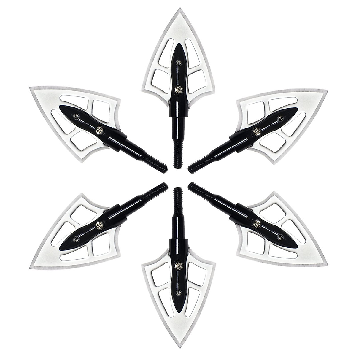 12Pcs Stainless Steel 100 Grain Broadheads 2 Blades Hunting Tips for Crossbow Compound Bow Archery Hunting