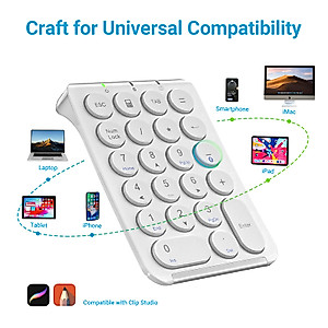 iClever Number Pad, KP08 Bluetooth Number Pad, Ultra Slim and Lightweight, USB-C Charge, Number Pad for Laptop, iPad, Mac, iMac, Tablet, PC Desktop
