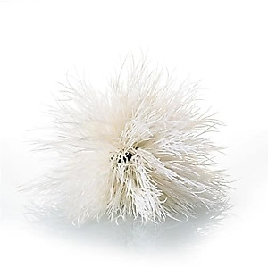 AKVLPGQK 2Pc Decoration Simulation Artificial Plants Ornaments Fish Aquatic Pet Supplies Suitable for Fish Tank Ornament Decoration Landscap Decorative(CP103-2,XS-15X15X9cm)