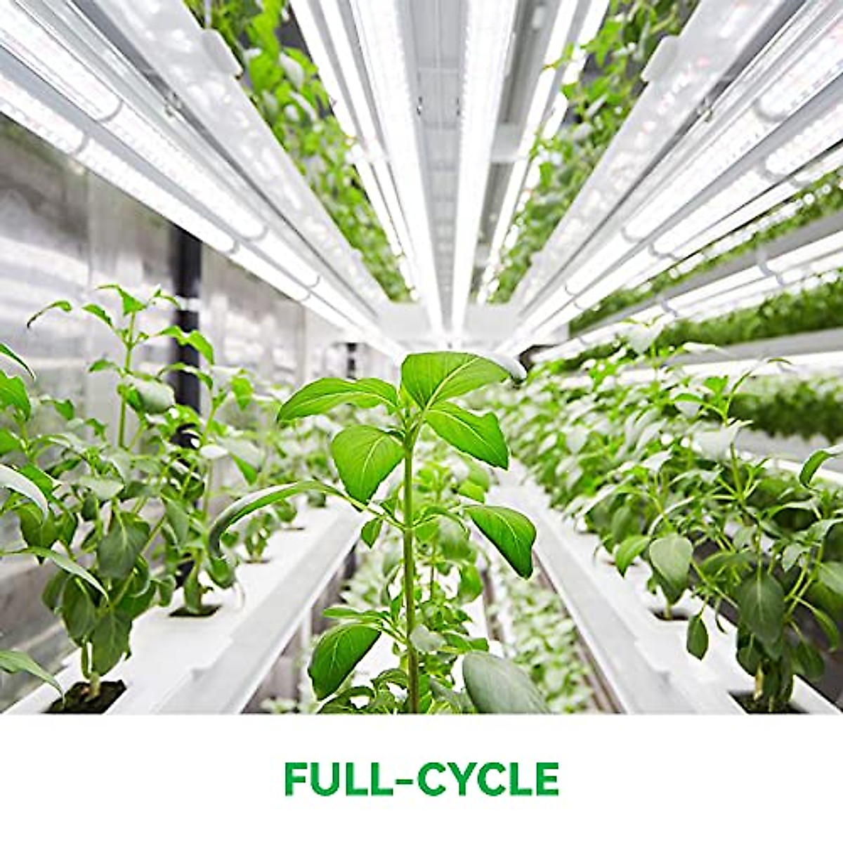 Monios-L LED Grow Light Strips,Full Spectrum Sunlight White, 3FT T5 90W(6X15W,500W Equivalent) for Indoor Plants,Grow Bars with Individual Switch for Herbs/Hydroponics/Succulents,6-Pack