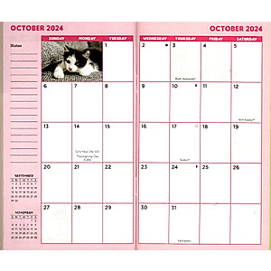 Paper Craft Kittens 2023 - 2024 2 Year Pocket Planner / Inspirations Calendar / Organizer - Monthly Page Format, multi