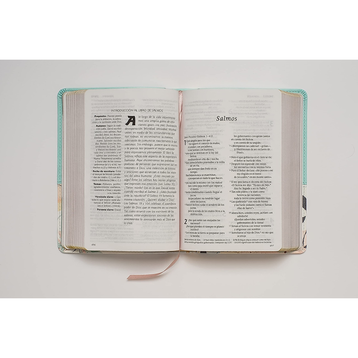 Santa Biblia NTV, Edición compacta, letra grande (SentiPiel, Menta, Letra Roja) (Spanish Edition)