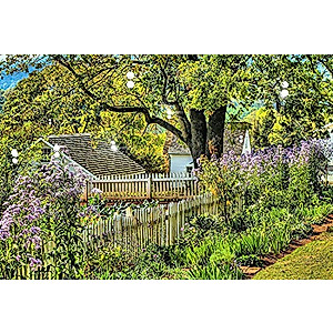 Monarchy Solutions Premium Metal Bird Deterrent Discs 16 Discs Set Reflective Hanging Device to Keep Birds Away Like Woodpeckers, Pigeons, Ducks, Herons, Grackles, Geese & Pest , Bird Blinder disks