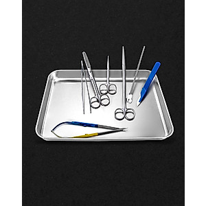 QWORK Stainless Steel Surgical Tray, for Medical Instruments, Tattoo, Surgical Supplies, 12 3/16 x 9 7/16 x 1, 4 Pack