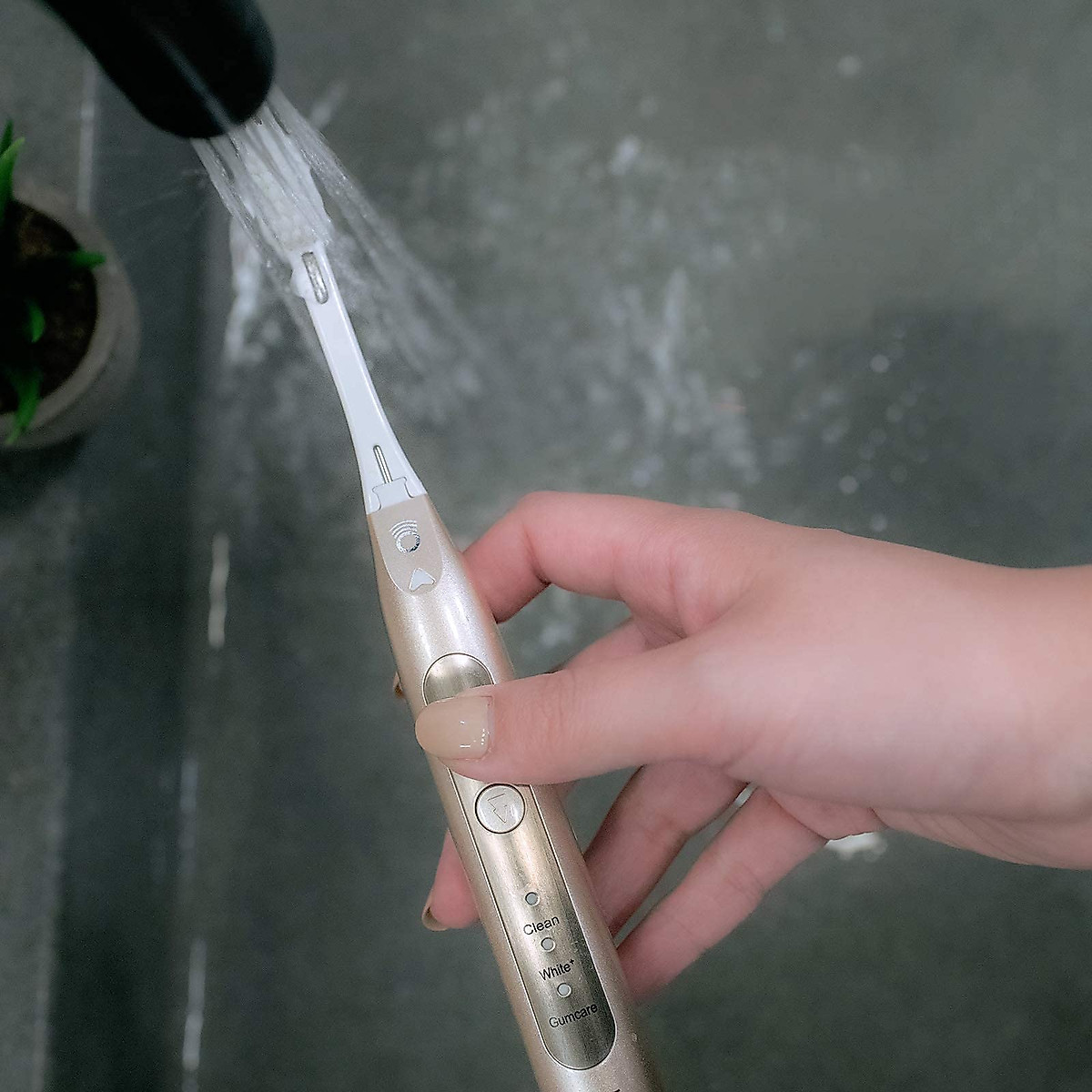 IONIC KISS IONPA DH Home Champagne Gold Special Bundle Ionic Power Electric Toothbrush, 2×Regular, 2×Wide, 2×Compact Brush Heads, Made in Japan, DH-311 CG