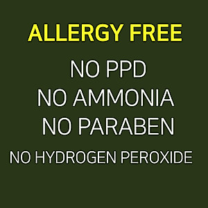 DONGSUNG Herb Speedy Color Cream (Soft Black, 1 Pack), PPD-Free Ammonia-Free Vegan Hair Dye with Sun Protection, Odorless, Gentle for Sensitive Scalp, No Eye or Scalp Irritation