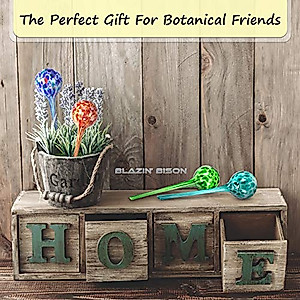 Blazin' Bison Indoor Plant Watering Globes | Automatic Self Water Bulbs | Aqua Water Globe | Decorative Hand-Blown Glass | 4pc Deluxe Set (Large)