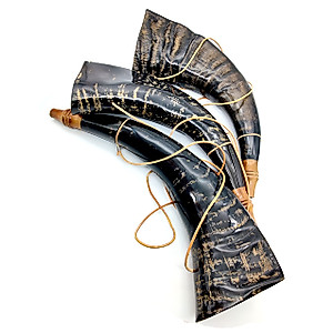 Viking War Horn Genuine buffalo-Horn Battle Trumpet - Premium Hand made Horn Viking Norse Cattle Ancient Horn Bugle Hunting Tool BATTLE HORN BLOWING HORN VIKING BUGLE HORN 16"