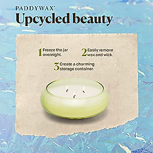 Paddywax Candles Realm Candle, 13.5 Ounces, Green, Bamboo