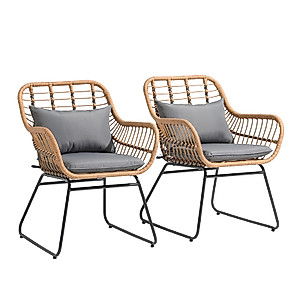 JOIVI Patio Chairs Set of 2, Outdoor Wicker Chairs with Heavy-Duty Iron Frame, All-Weather Easy-to-Clean PE Wicker, Patio Rattan Dining Chairs for Outside Lawn, Garden, Poolside, Backyard, Porch, Gray