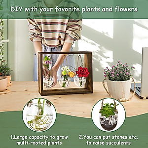 Grovind Plant Propagation Stations, Desktop Air Plant Terrarium with Wooden Stand Propagation Station, Propagator Glass Planters for Hydroponics Plants Home Office Gift for Woman