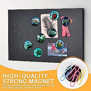 Glass Strong Animals Refrigerator Magnets,12 Pcs Decorative Magnets for Fridge Lovely Decor for Home Kitchen Office Whiteboard (Turtle Refrigerator Magnet)