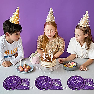 Purple Birthday Supplies,Silver Birthday Plates and Napkins,Serves 25 Guests Purple Paper Plates Napkins Sets for Girl Women Birthday Party Decoration(100 PCS)
